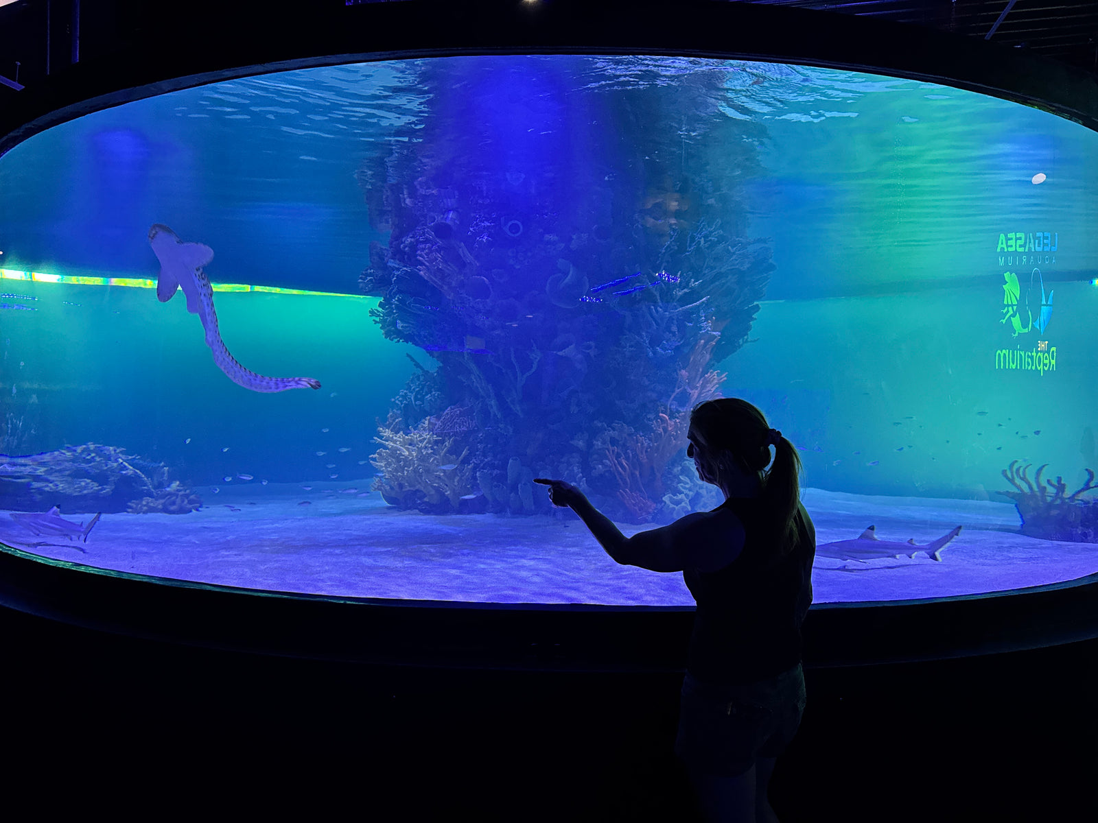LegaSea Aquarium & The Reptarium - Indoor Interactive Aquarium & Zoo
