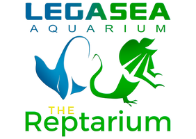 LegaSea Aquarium & The Reptarium - Indoor Interactive Aquarium & Zoo