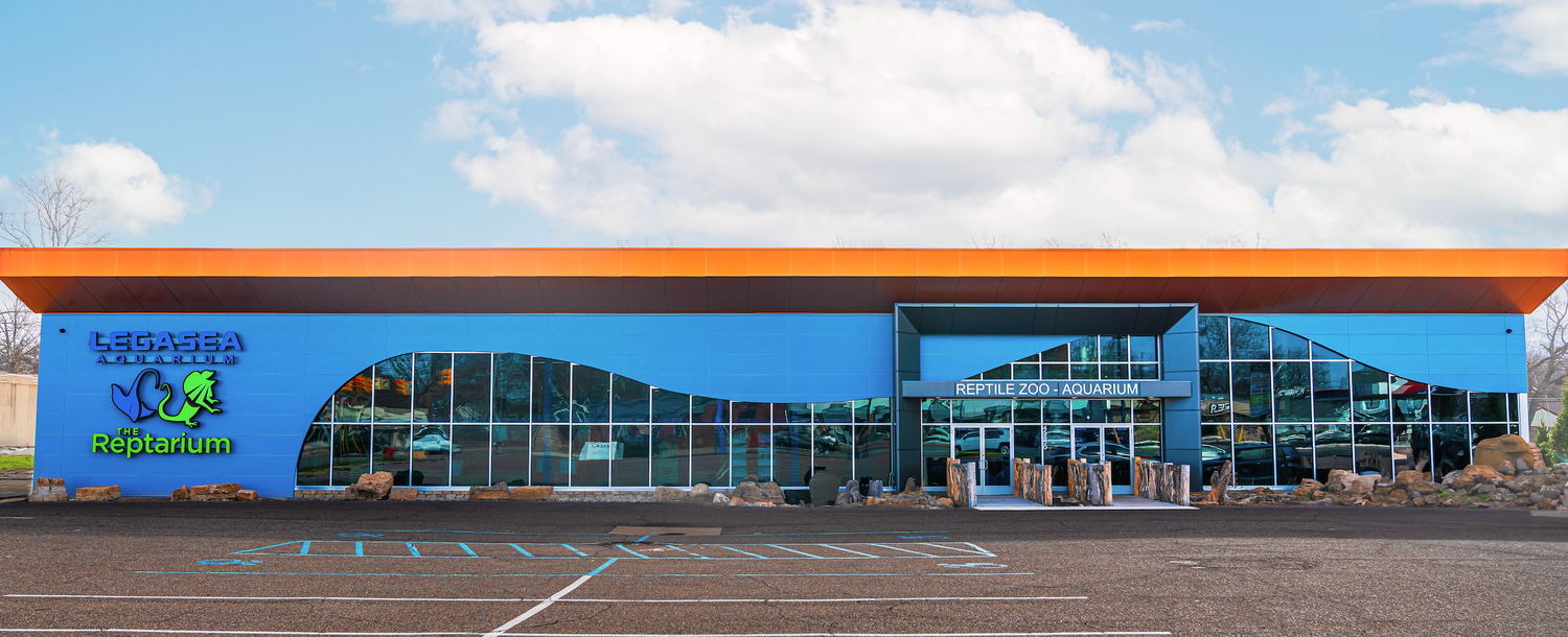 LegaSea Aquarium & The Reptarium - Indoor Interactive Aquarium & Zoo