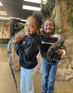 LegaSea Aquarium & The Reptarium - Indoor Interactive Aquarium & Zoo