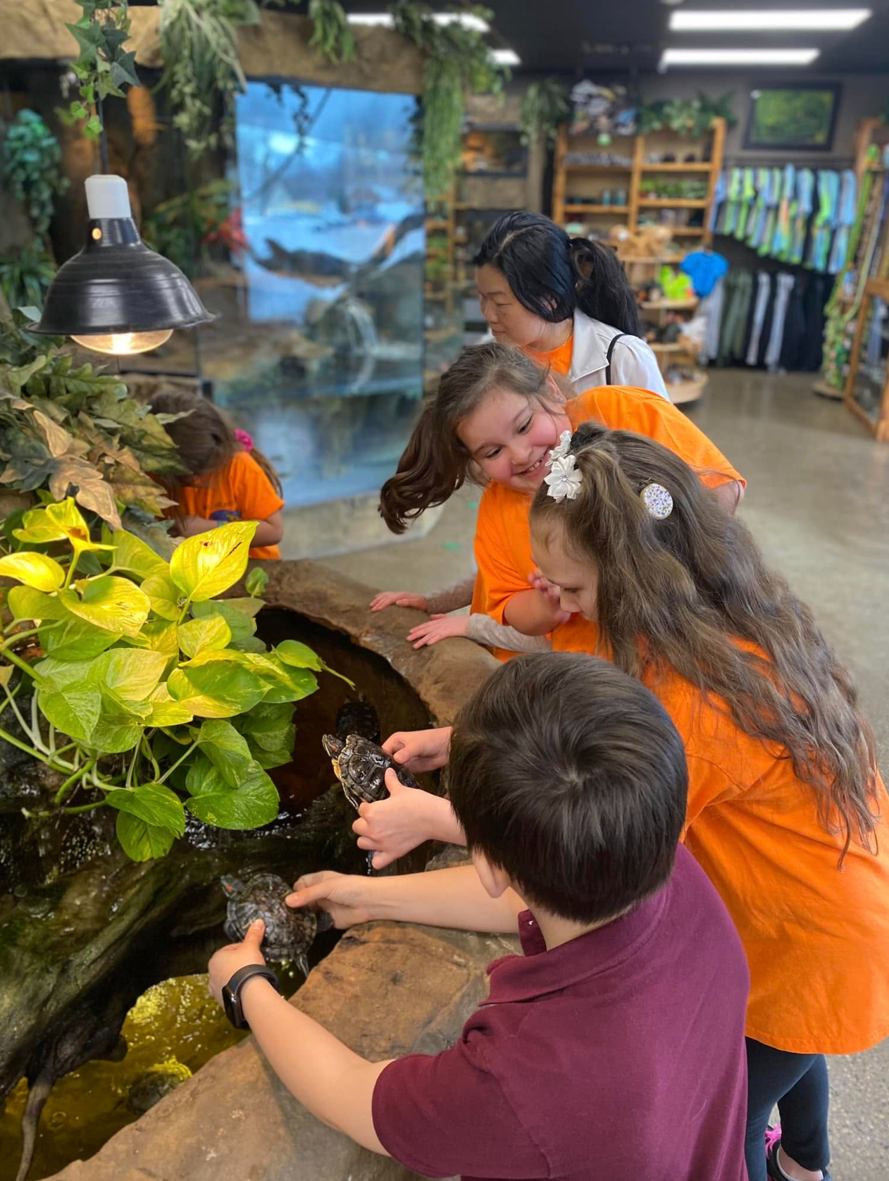 LegaSea Aquarium & The Reptarium - Indoor Interactive Aquarium & Zoo