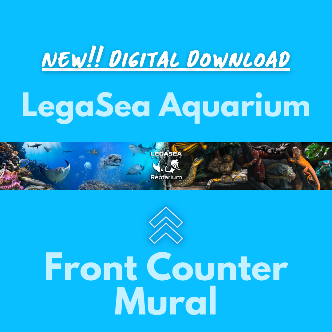 LegaSea Aquarium Front Counter Mural Digital Download – LegaSea ...