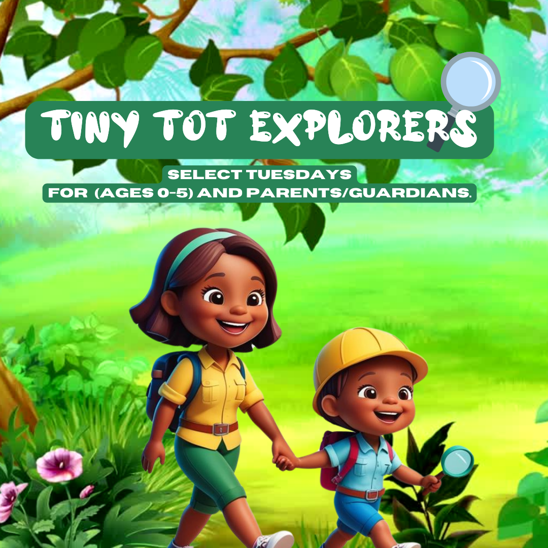 LegaSea Aquarium & The Reptarium - Indoor Interactive Aquarium & Zoo